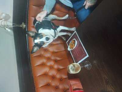 Royal Inn, Atherton - Menu, prices, restaurant rating