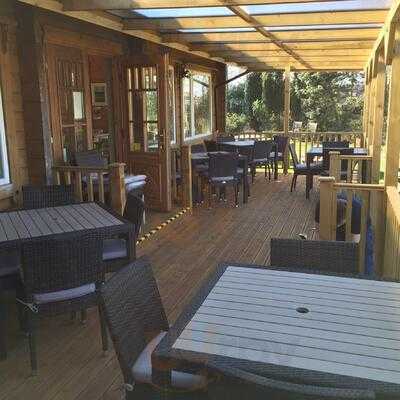 Priory Maze Cafe, Sheringham - Menu, prices, restaurant rating
