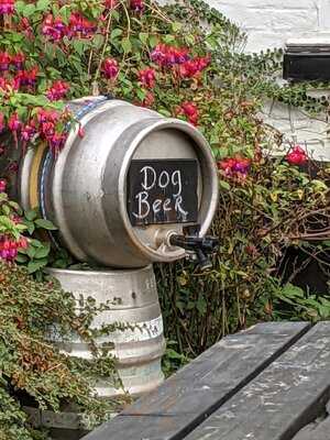 The Swan in Hilborough - Menu, Reviews, Photos