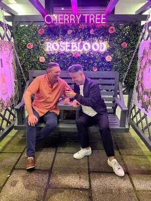 The Cherry Tree, Blackrod - A6, Chorley Road - Menu and Prices