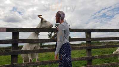 Ulnaby Farm Shop & Cafe, Darlington - Ulnaby Hall Ulnaby Hall - Menu ...