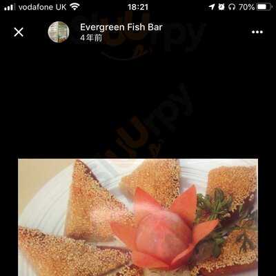 Evergreen Fish Bar, Ludlow - 7 Old Street - Menu and Prices