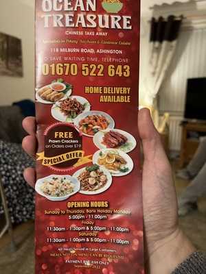 Ocean Treasure, Ashington - 118 Milburn Road | Menu and Prices
